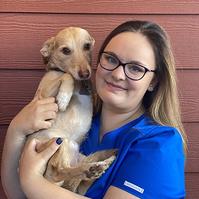 Our Staff - Pet Townsend Veterinary Clinic