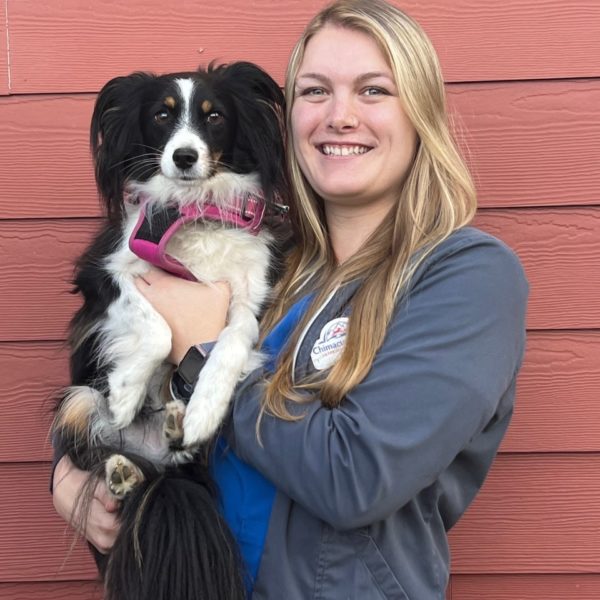 Our Staff - Pet Townsend Veterinary Clinic